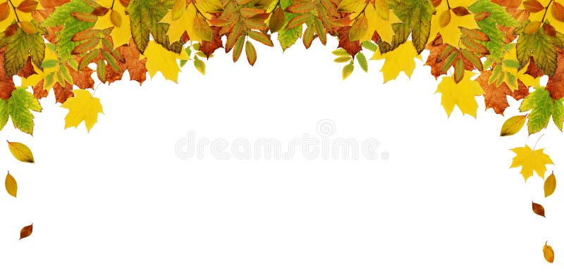 Colorful Autumn Leaves Header Stock Illustration - Illustration of gold ...