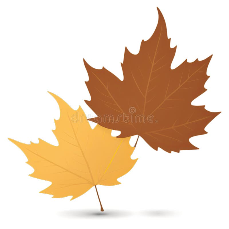Colorful Autumn Leaves Isolated Stock Image - Illustration of september ...