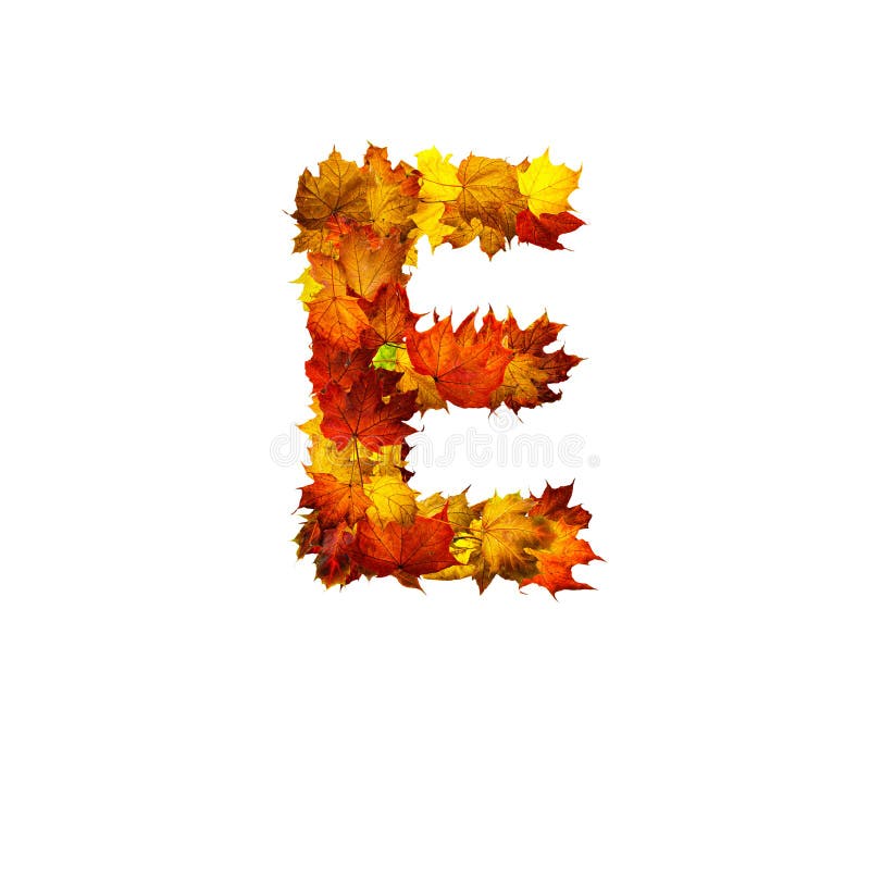 Colorful Autumn Leaves Isolated on White Background As Letter E Stock ...