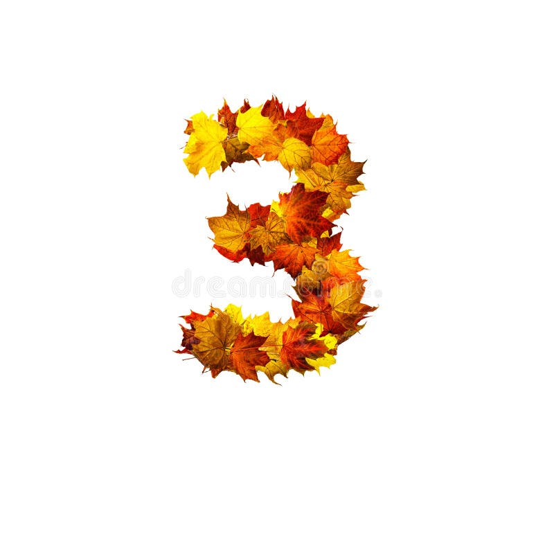 Colorful Autumn Leaves Isolated on White Background As Number Three ...
