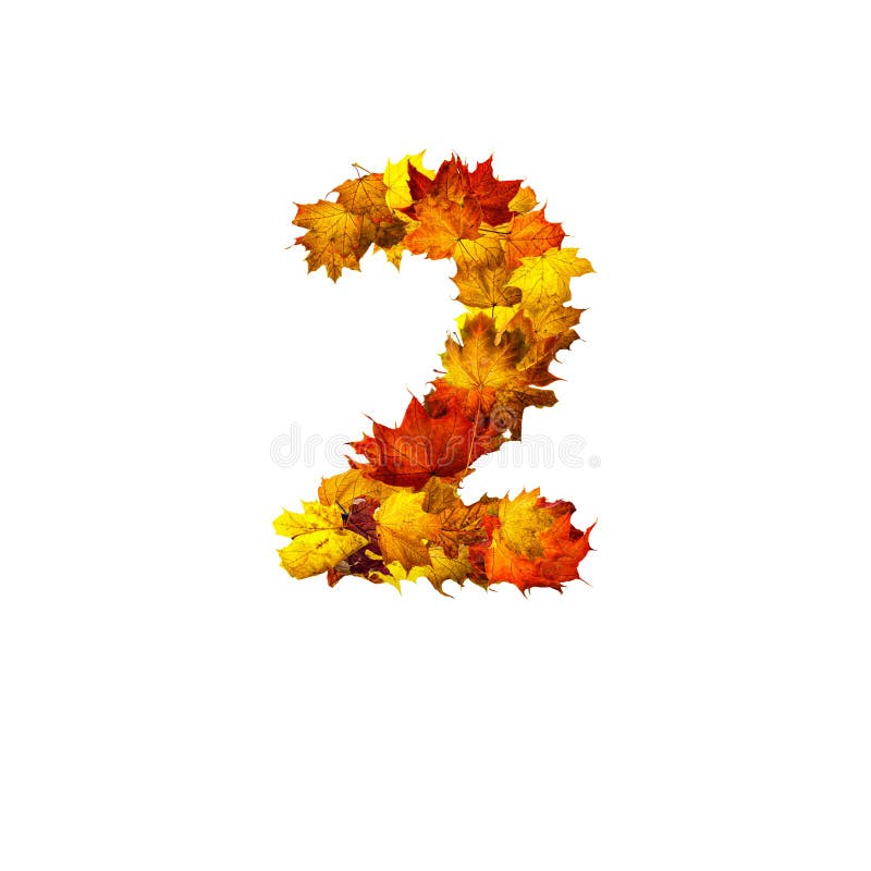 Colorful Autumn Leaves Isolated on White Background As Number Two Stock ...