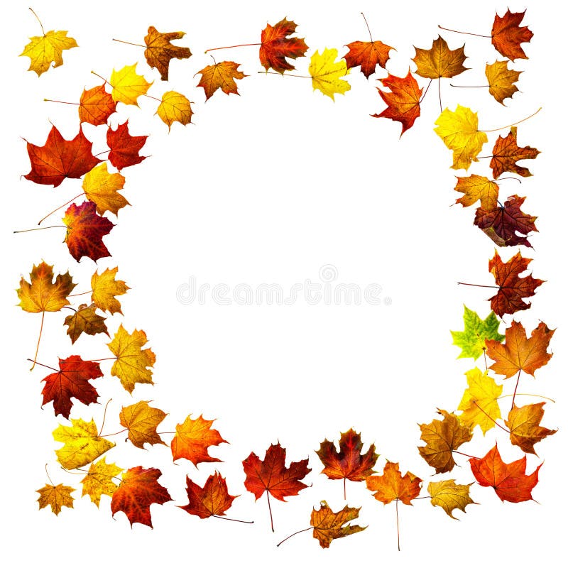 Colorful Autumn Leaves Isolated on White Background. Border Frame of ...