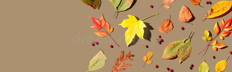 Colorful Autumn Leaves Overhead View Stock Image - Image of season ...
