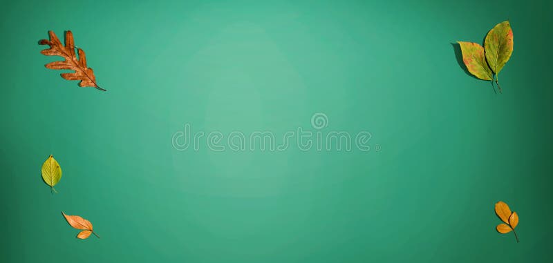 Colorful Autumn Leaves Overhead View Stock Photo - Image of foliage ...