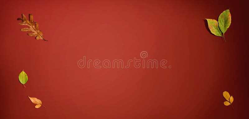 Colorful Autumn Leaves Overhead View Stock Image - Image of hello ...