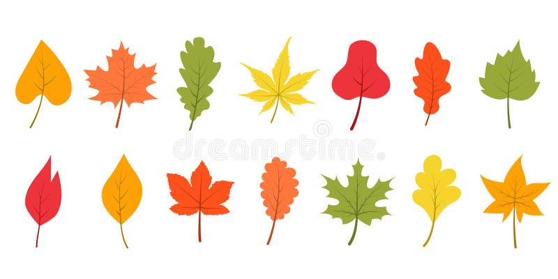 Colorful Autumn Leaves Set. Vector Cartoon Illustration Stock ...
