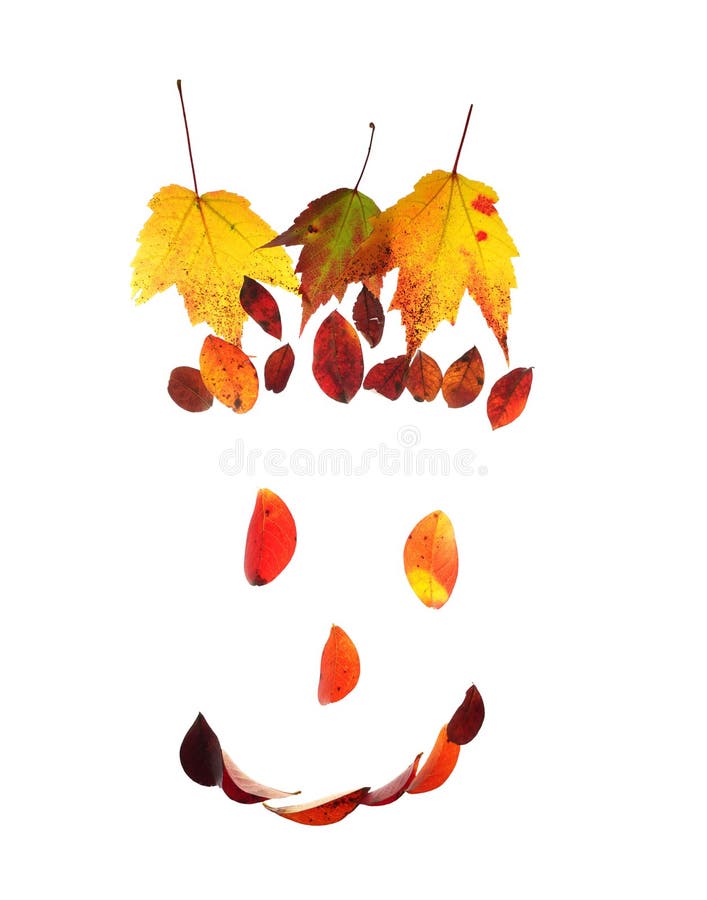 Colorful Autumn Leaves in the Shape of a Smiling Face, Isolated on ...
