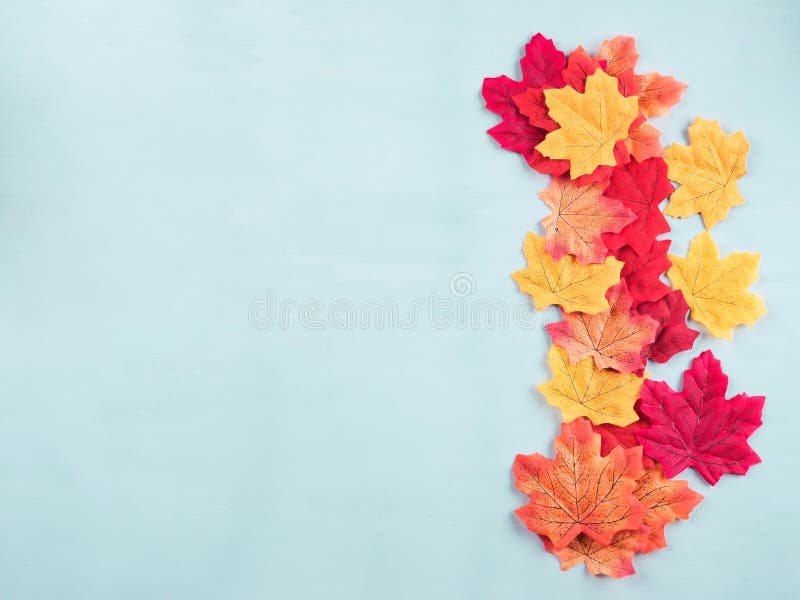 Colorful Autumn Maple Leaves on Turquoise Stock Image - Image of ...