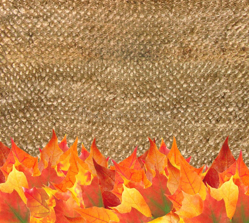 Colorful Autumn Maple Leaves on Wool Cloth Stock Image - Image of ...