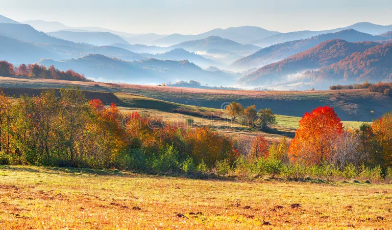Colorful Autumn Morning in the Mountains Stock Image - Image of ...