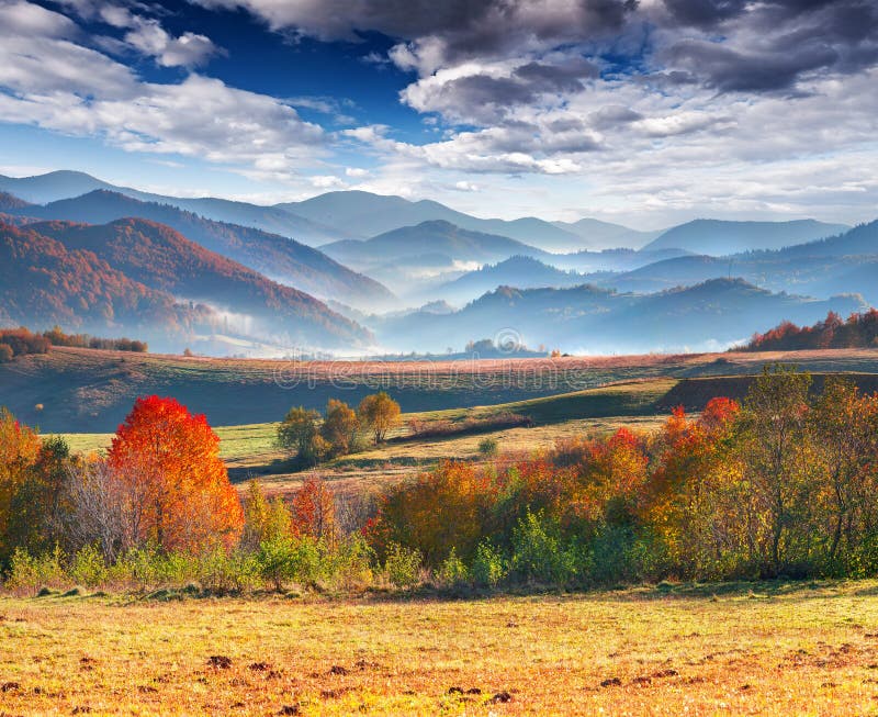 Colorful Autumn Morning; in Mountains. Stock Image - Image of highland ...