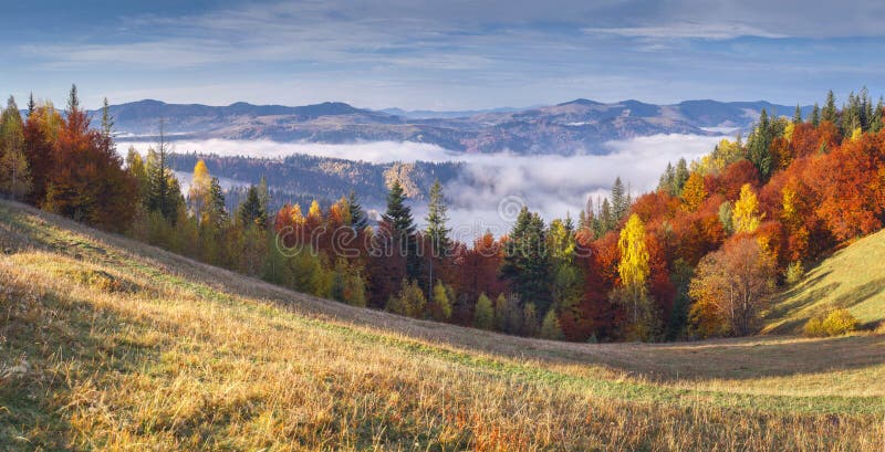 Bashang Plateau - Autumn Landscape Stock Image - Image of color ...