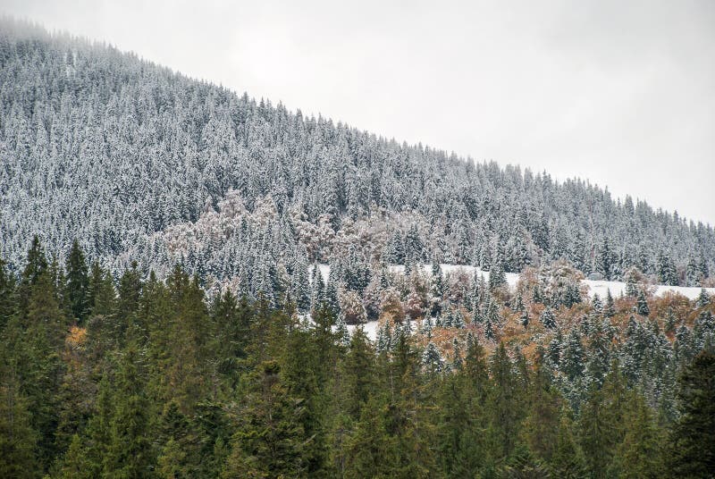 Snow in October Near Desert View Watchtower at Grand Canyon, Arizona ...