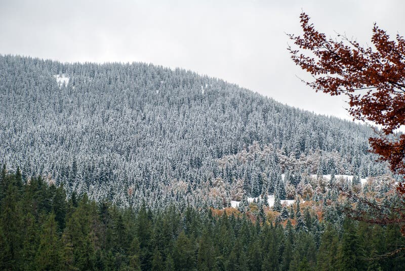 Snow in October Near Desert View Watchtower at Grand Canyon, Arizona ...