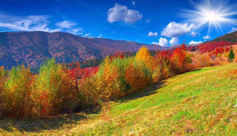 Colorful Fall Scenery Landscapes. Stock Image - Image of river ...