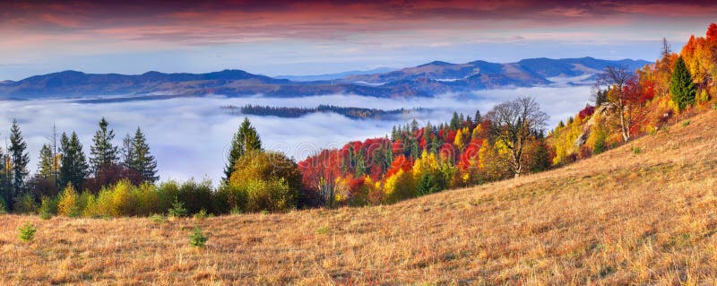Colorful Autumn Panorama of the Mountains. Stock Image - Image of ...