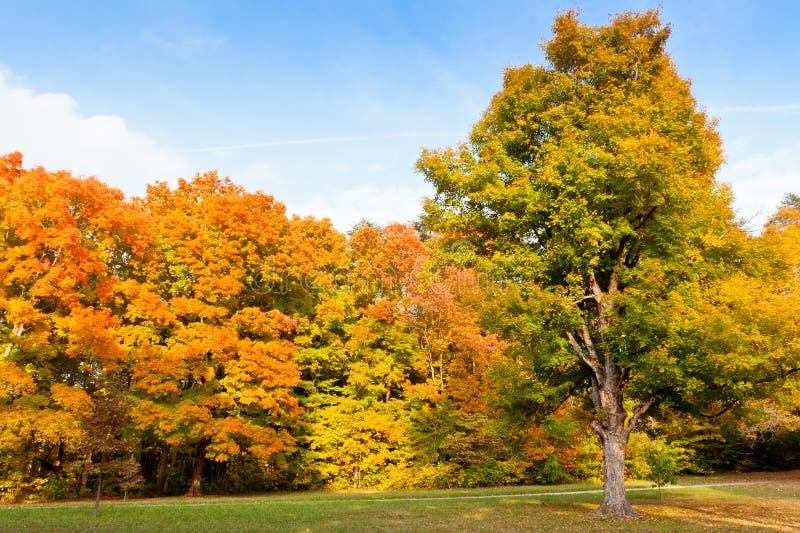 Colorful autumn park stock image. Image of fall, outdoor - 29871297