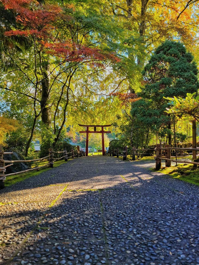 Colorful Autumn Park with a Torii Gate in the Background Stock Photo ...