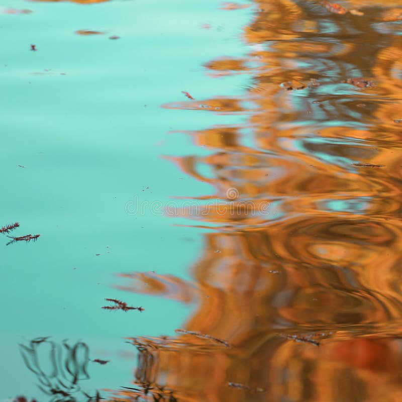 Autumn reflection stock image. Image of high, leaves - 61470983