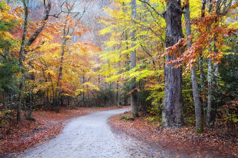 Colorful Autumn Road stock image. Image of country, journey - 21845563