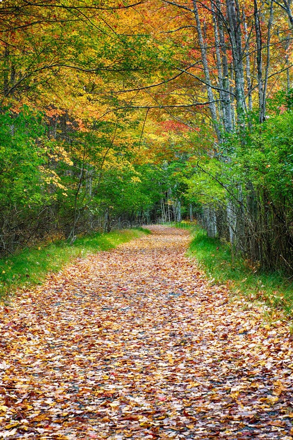 Colorful Autumn Road stock image. Image of country, journey - 21845563
