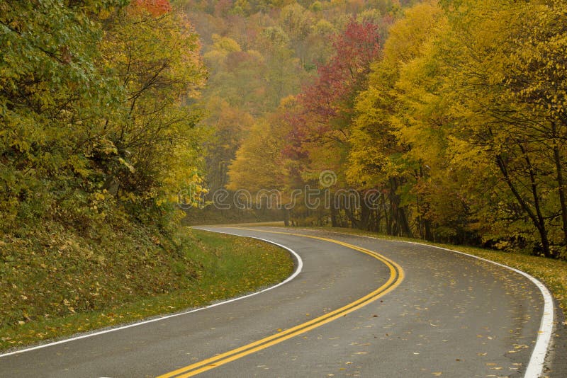 Fall Road stock photo. Image of green, beautiful, colors - 45763592