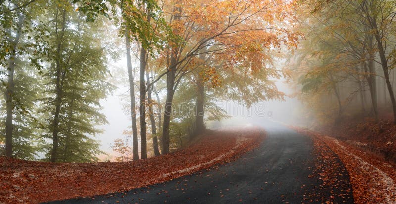 Colorful autumn road stock photo. Image of mystery, light - 90661298
