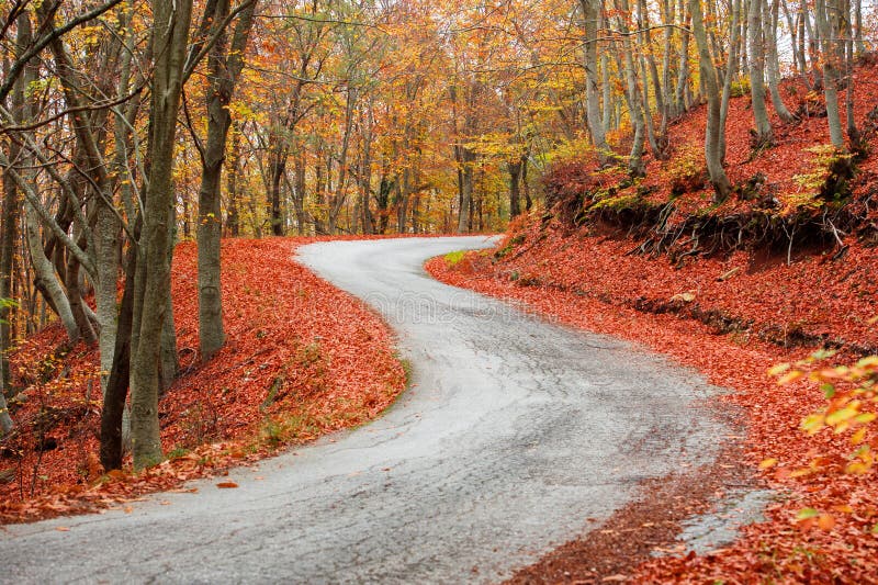 Colorful autumn road stock photo. Image of pavement, retaining - 35280190