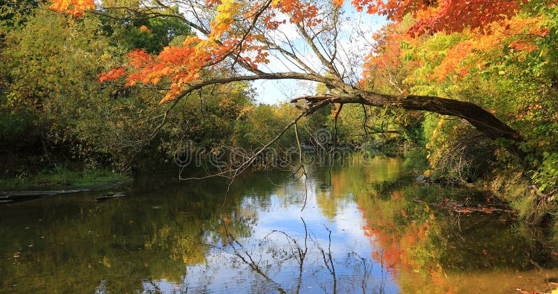 Colorful Autumn Scene by a Small Creek Stock Photo - Image of beautiful ...