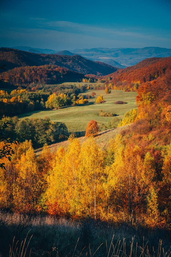 Colorful Autumn Scenery. Meadow in the Middle of Autumn Stock Photo ...