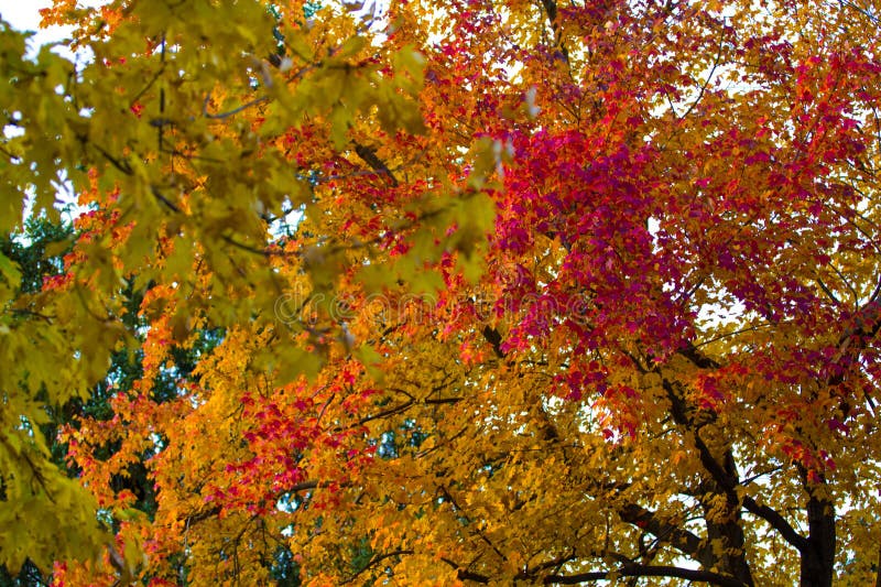 Colorful Autumn Scenes in Ohio Stock Photo - Image of scenes, beauty ...