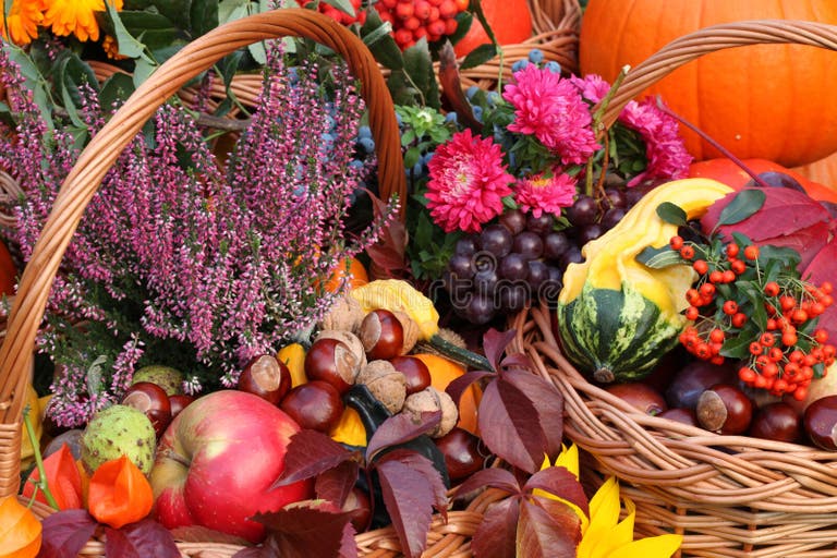 Colorful autumn stuff stock image. Image of heap, ingredients - 26964301