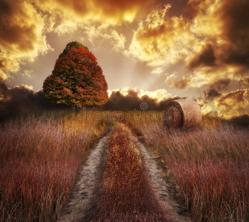 Batman with child editorial stock image. Image of joint - 21705804