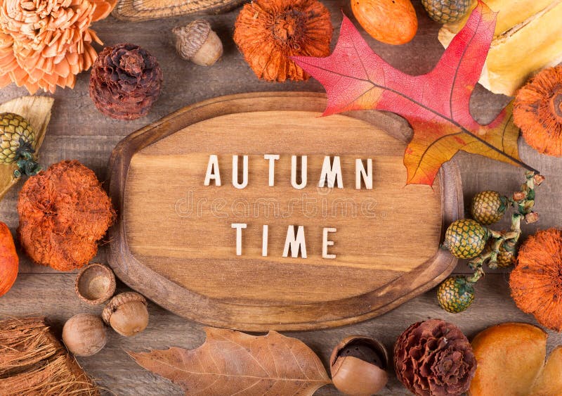 Fall objects 1 stock image. Image of fall, pumpkin, smile - 322923