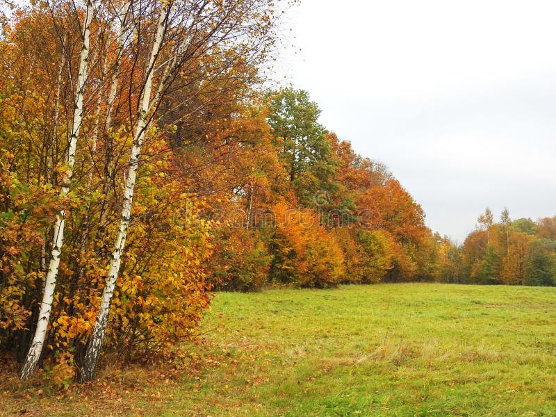 Colorful Autumn Trees, Lithuania Stock Image - Image of landscape ...