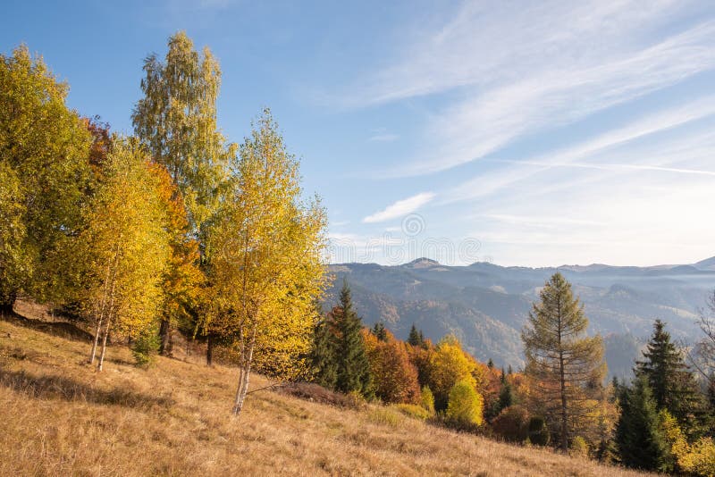 Colorful Autumn Trees in the Mountains. Autumn Mountain Forest ...