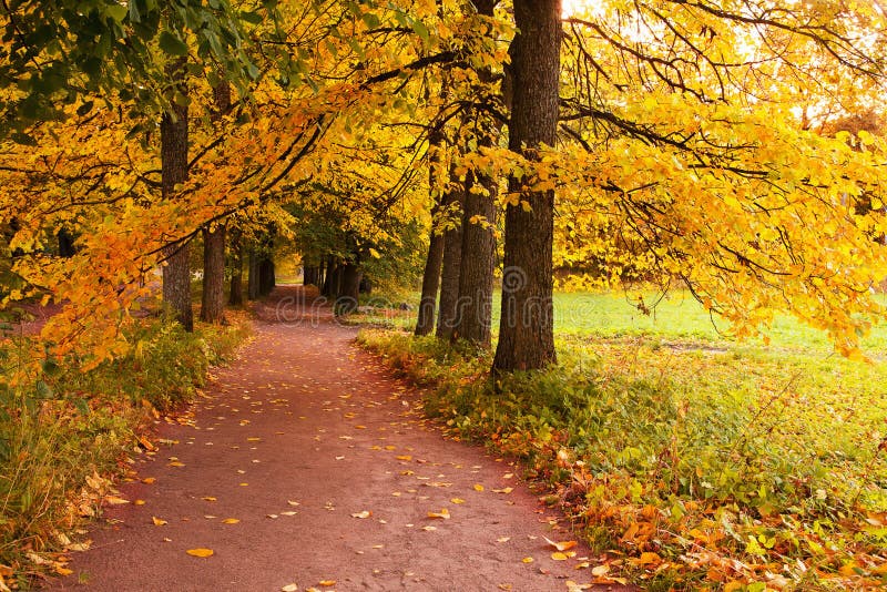 Colorful Autumn Trees in Park Stock Photo - Image of outdoor, colorful ...