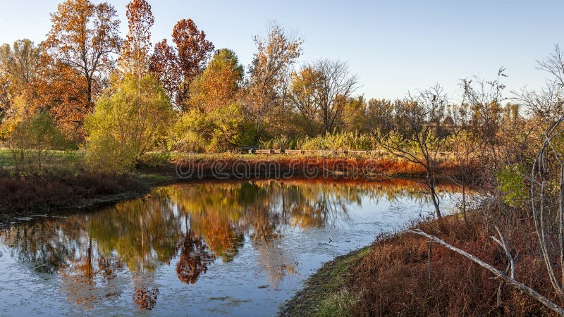 Colorful Autumn Trees Reflected in a Small Pond Stock Photo - Image of ...