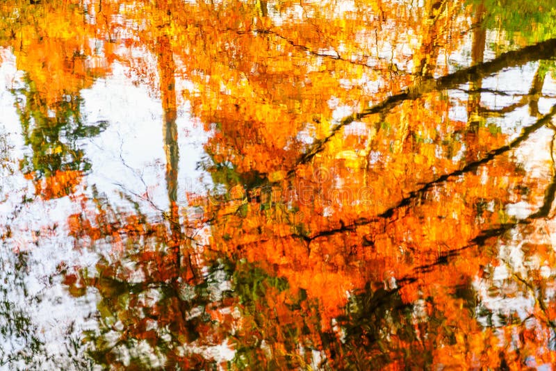 Colorful Autumn Trees Reflected in Water. Stock Photo - Image of bush ...