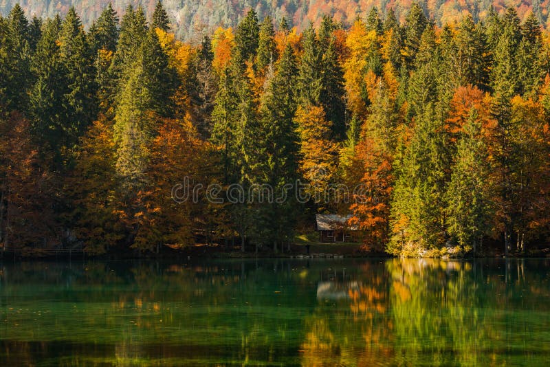 Colorful Autumn Trees Reflection in Lake Water Stock Image - Image of ...