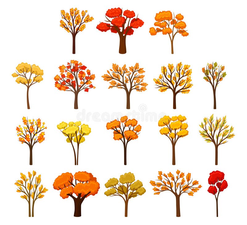 Colorful Autumn Trees with Trunk and Bright Crown Big Vector Set Stock ...
