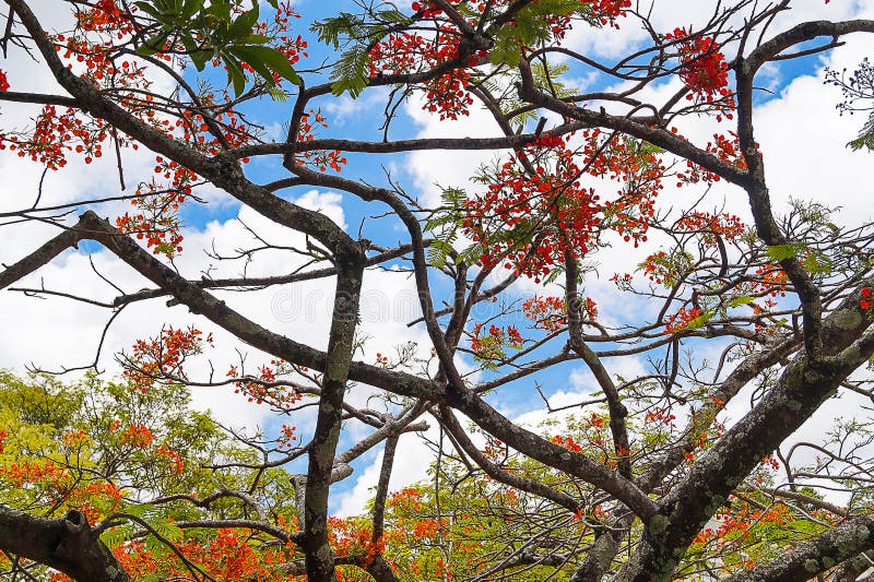 Colorful Background stock image. Image of texture, cipo - 86994771