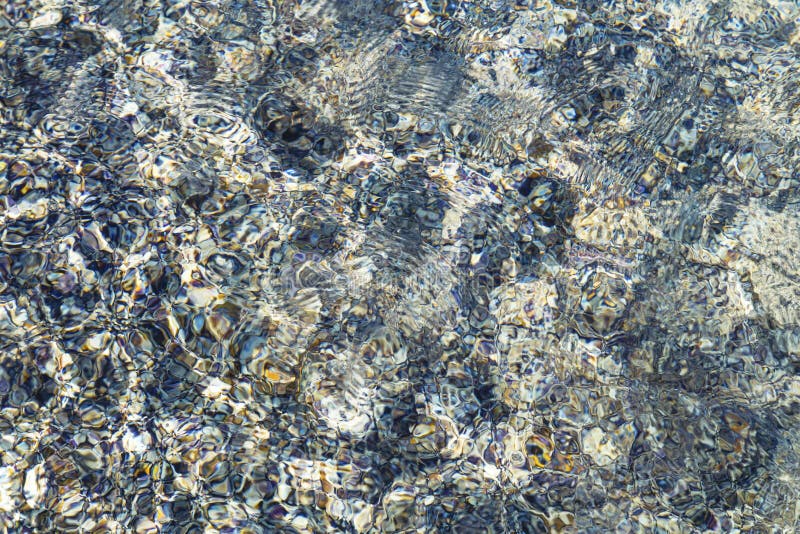 Seashells under water. stock photo. Image of underwater - 43712954