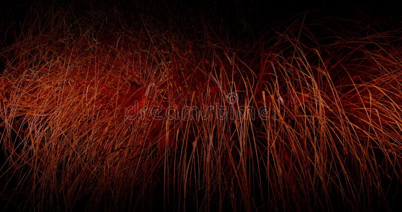 Colorful grass background stock image. Image of grass - 159549357