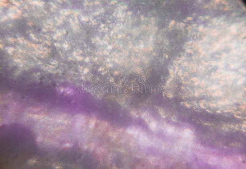 Colorful Backgrounds and Textures, Micro Patterns Stock Illustration ...