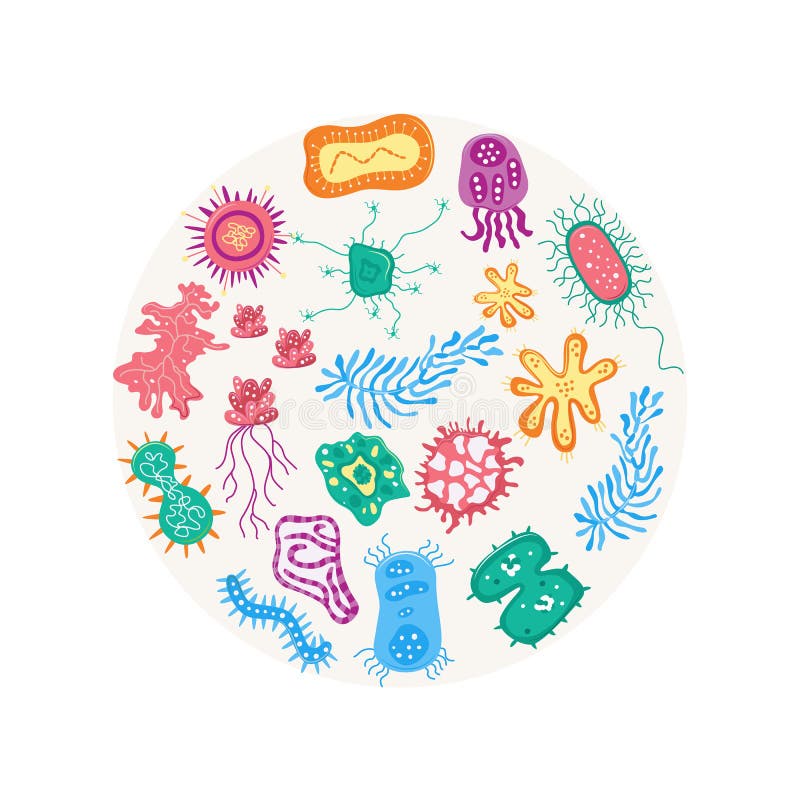 Colorful Bacteria in Circle Shape Isolated on White Background Stock ...