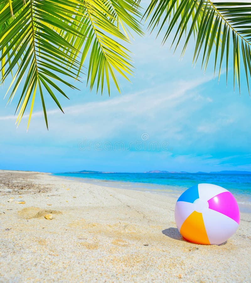 Colorful Ball Under Palm Tree Stock Photos - Free & Royalty-Free Stock ...