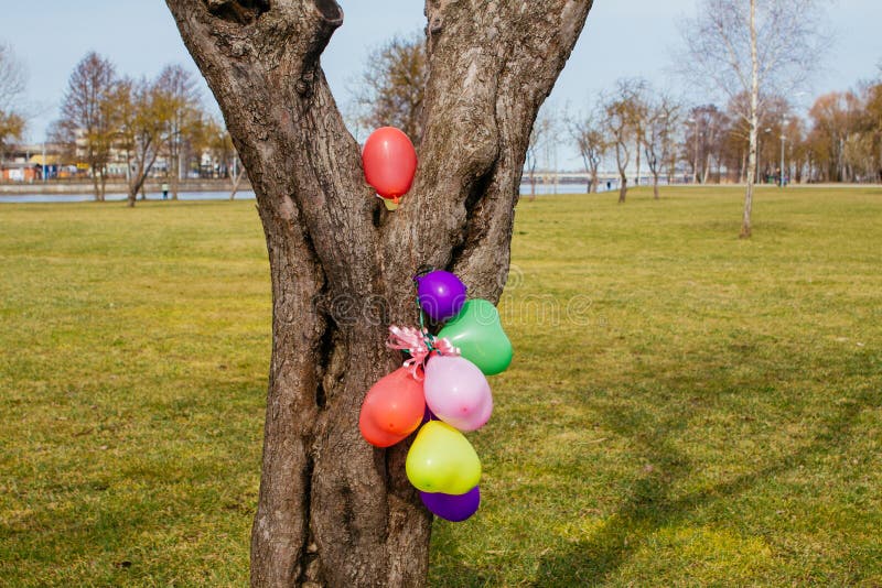 Colorful balloons stock photo. Image of celebration, helium - 92092714