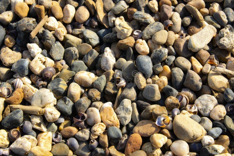 Colorful, Beach Rocks with Seashells Stock Photo - Image of pebble ...