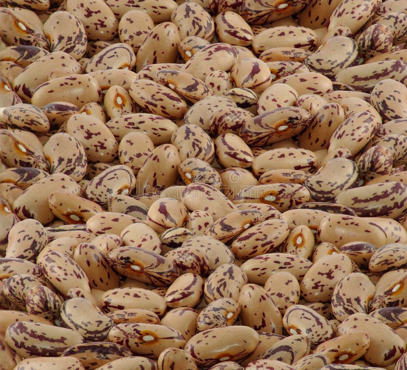 Colorful beans stock image. Image of color, food, meal - 24353767